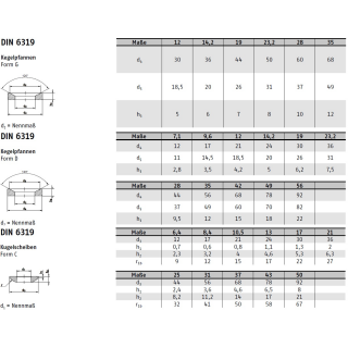 DIN 6319 St. einsatzgeh. D 19 galv. verzinkt, getemp.