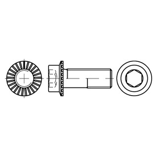 Zyl.-Flanschschrauben, ISK, KL100 m. Sperr-Ripp, M 6x16